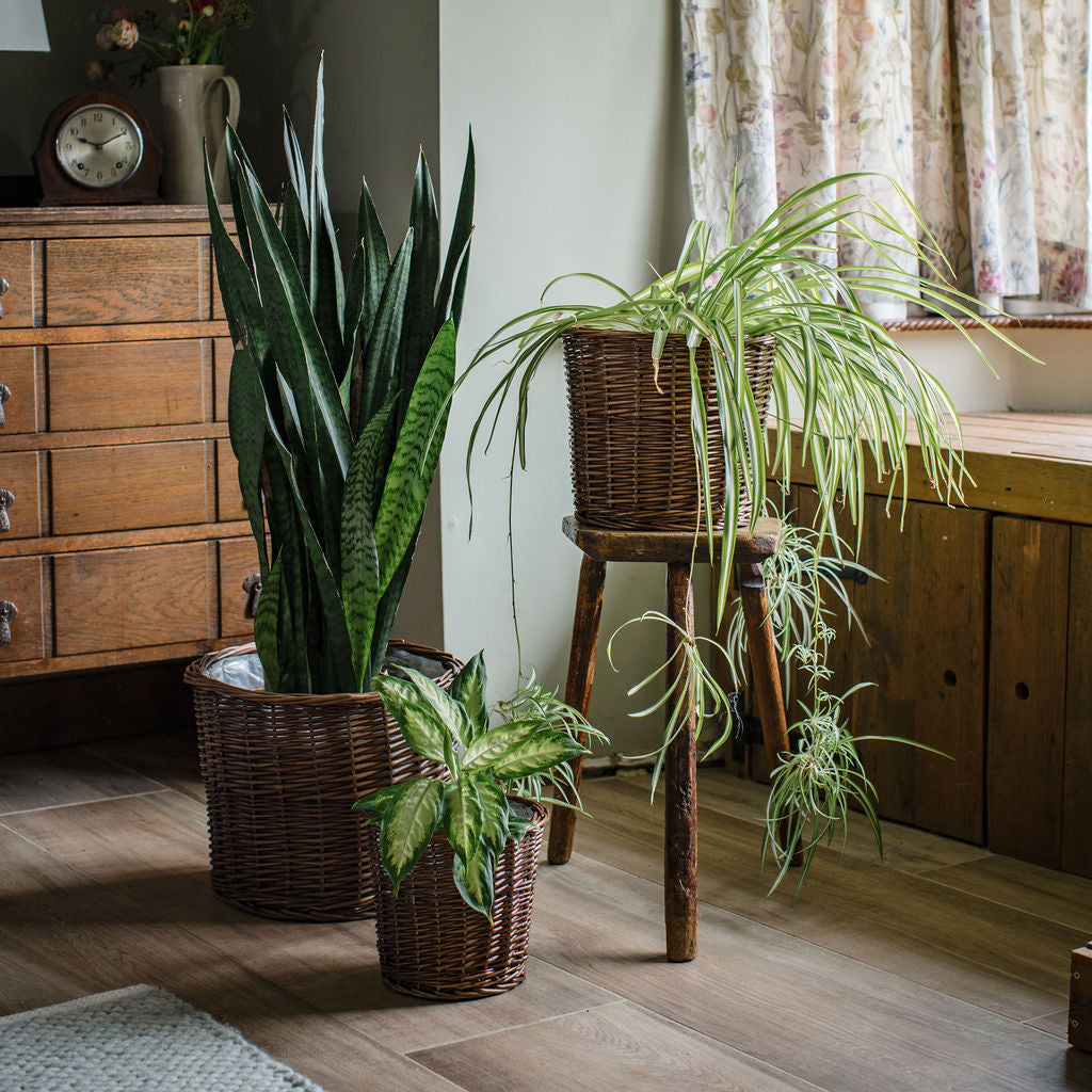 Distilled Round Wicker Lined Planter Basket – Arthur Cameron