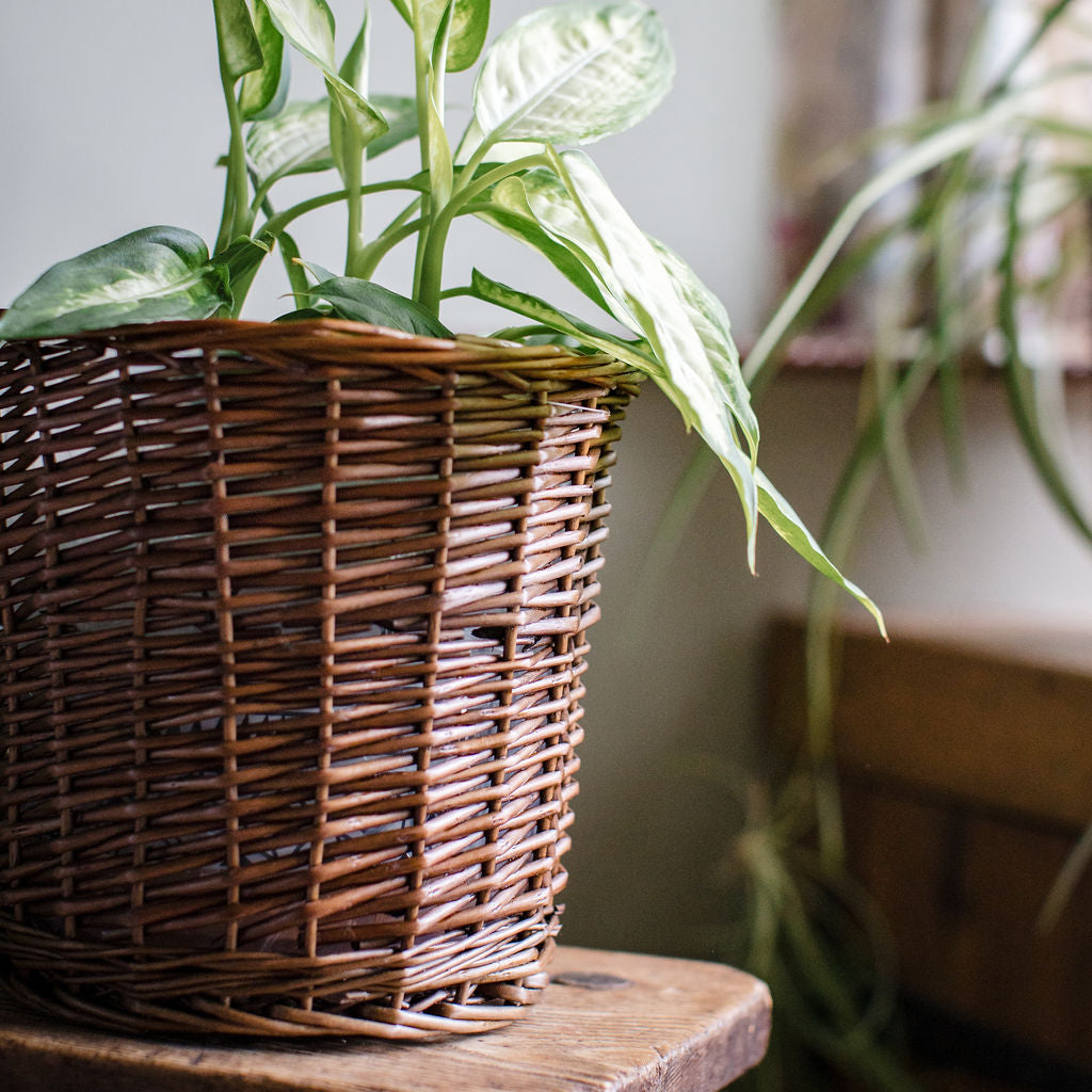 Distilled Round Wicker Lined Planter Basket – Arthur Cameron