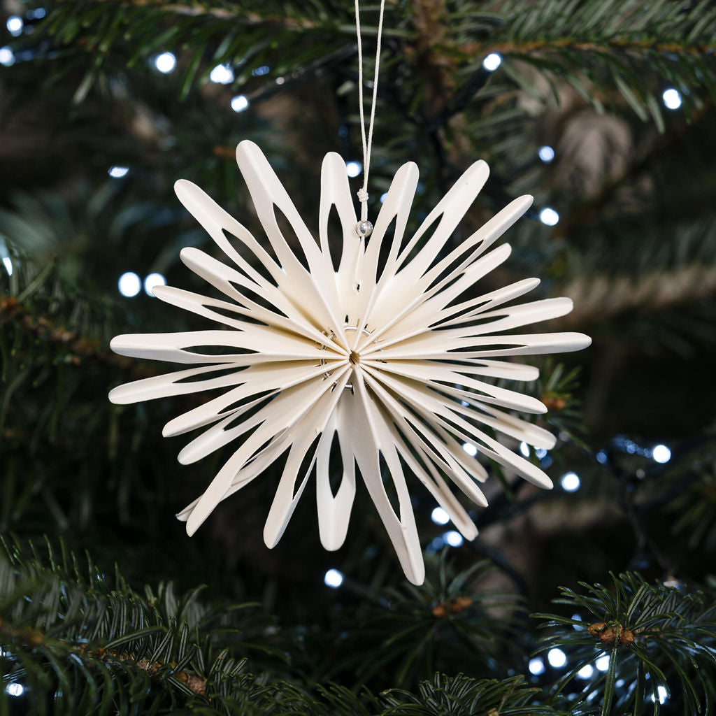 White Paper Hydra – Arthur Cameron